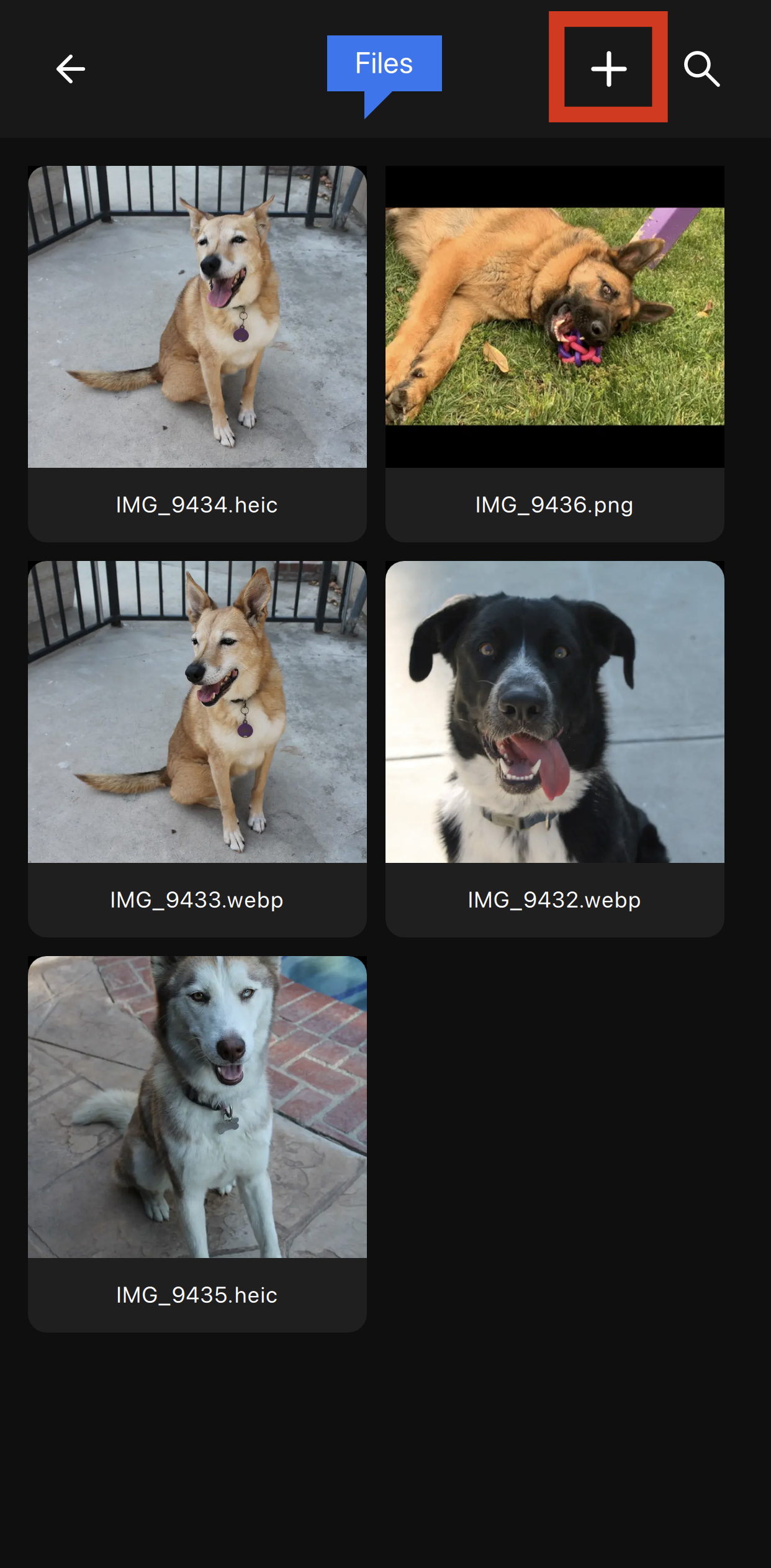 File Folders – FYI