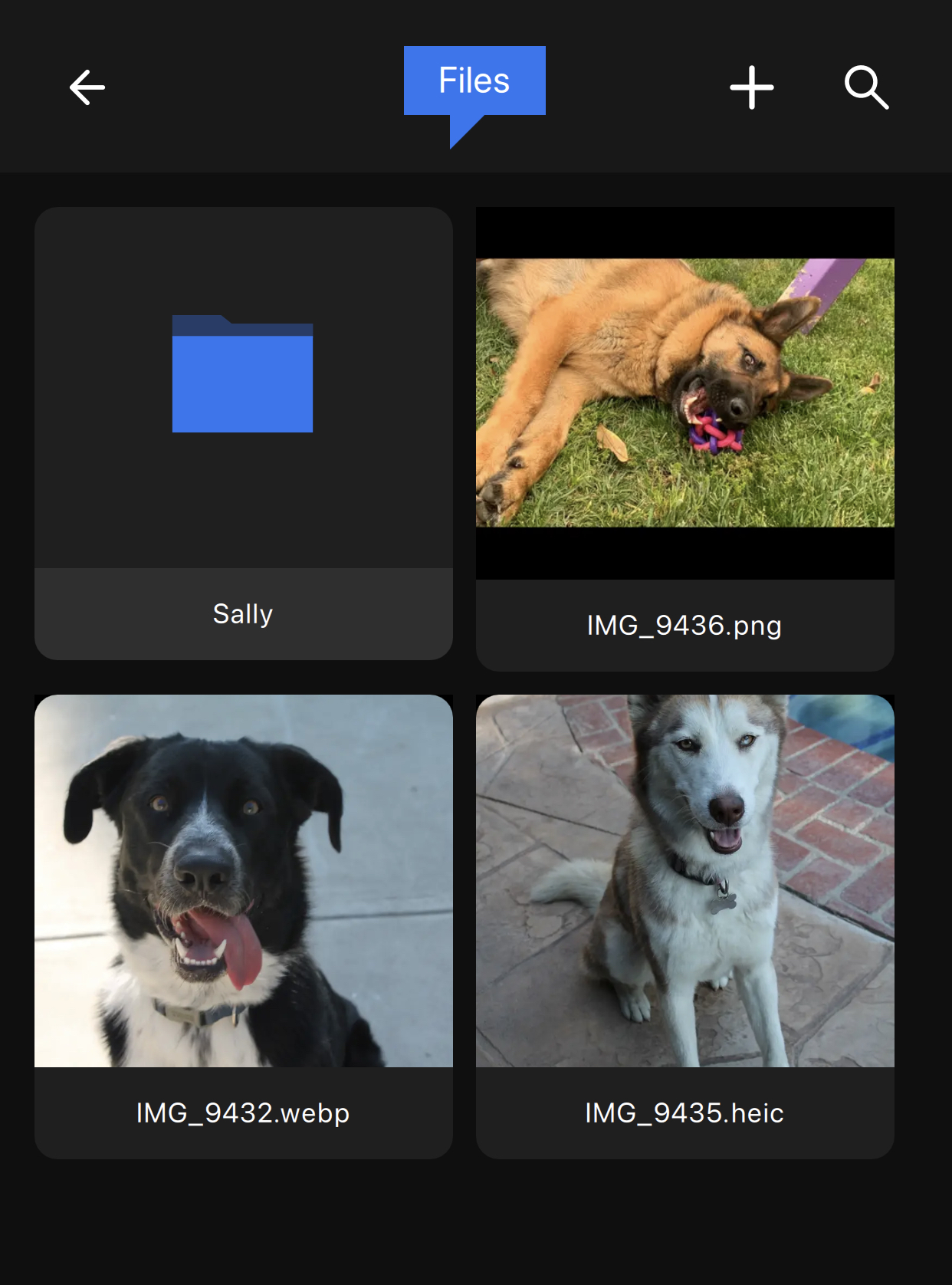 File Folders – FYI